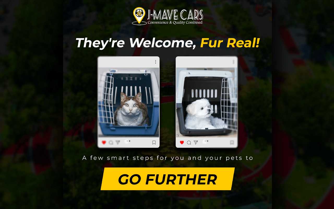 Bringing Your Pet on the Family Trip: What You Need to Know for a ...